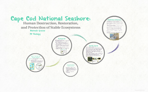 Human Impact on Ecosystems of the Cape Cod National Seashore by Hannah ...
