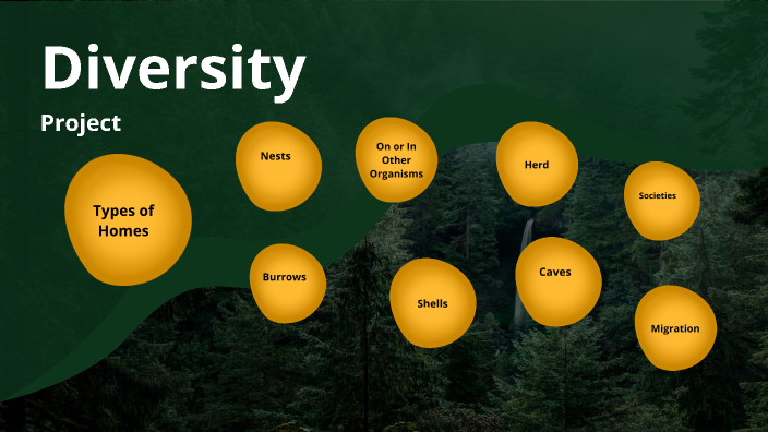 Biology 30 Diversity Project by shs class on Prezi