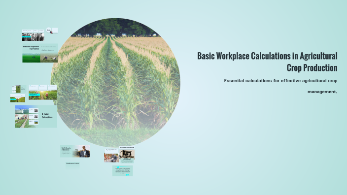 Basic Workplace Calculations in Agricultural Crop Production by Jerome ...