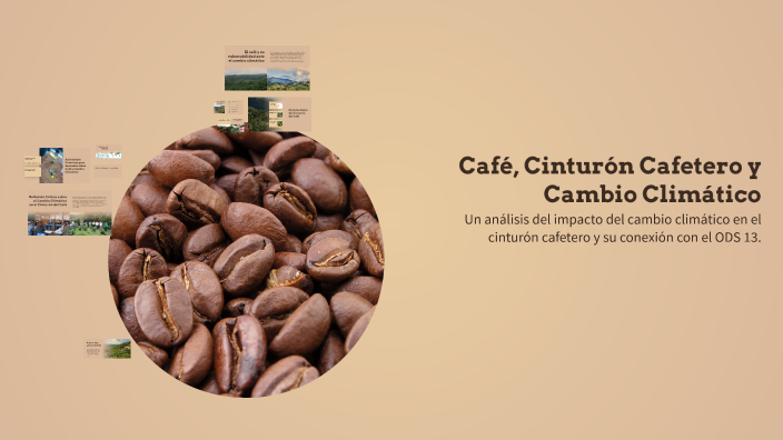 Café, Cinturón Cafetero y Cambio Climático by Xiomara Andrea Peña ...