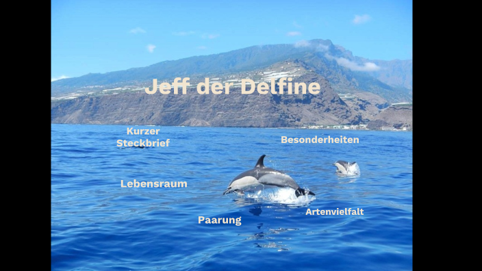 Jeff the Delfin by Kevin L. on Prezi