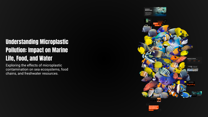 Understanding Microplastic Pollution: Impact on Marine Life, Food, and ...