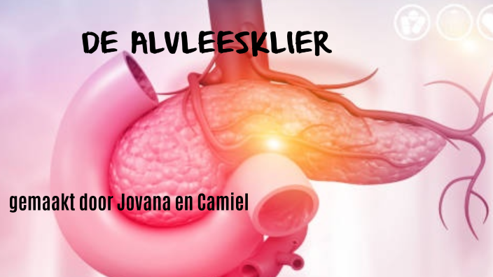 Alvleesklier by camiel van gestel on Prezi