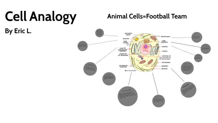 Cell Analogy Football by Eric Luna on Prezi