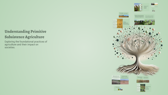 Understanding Primitive Subsistence Agriculture by Sharmitha Sri on Prezi