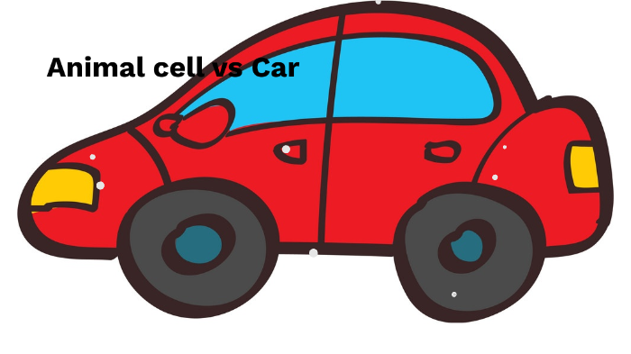 Car cell analogy by Nathan Oechsner [STUDENT]