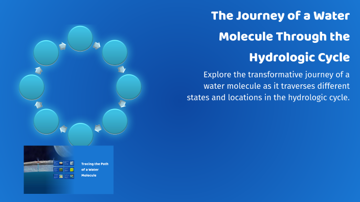 The Journey of a Water Molecule Through the Hydrologic Cycle by Khloe ...