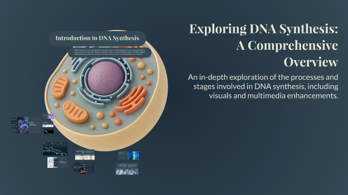 Exploring DNA Synthesis: A Comprehensive Overview by Pınar Şehirli on Prezi