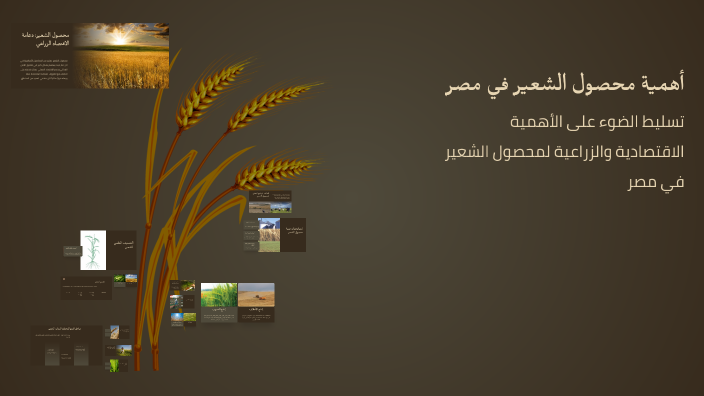 أهمية محصول الشعير في مصر by Walid Raafat on Prezi