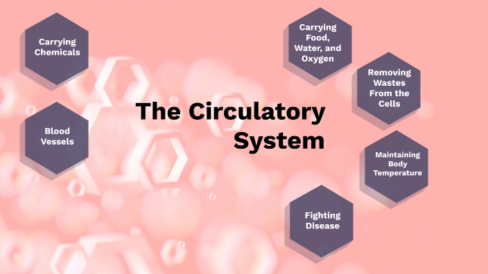 The Circulatory System by Theodore Wagner on Prezi