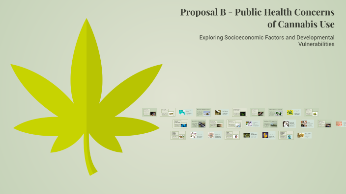 Proposal B- Pubic Health Concerns of Cannabis Use. by alyssa m on Prezi