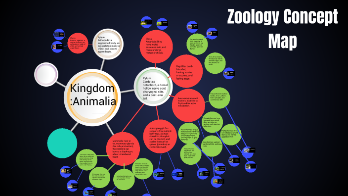 Zoology Concept Map by Brody Gibson on Prezi