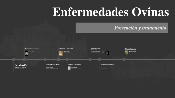 Enfermedades Ovinas by Sharon Jaramillo on Prezi