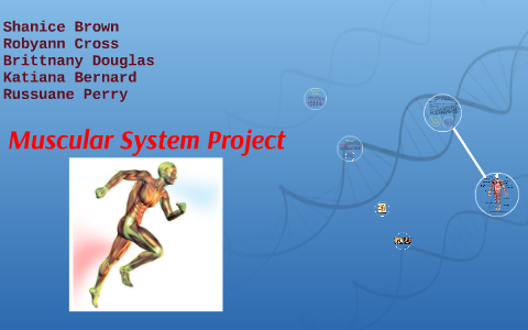 Muscular System Project by shanice brown on Prezi