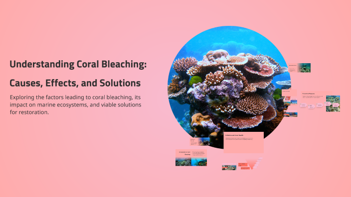 Understanding Coral Bleaching: Causes, Effects, and Solutions by Ariel ...