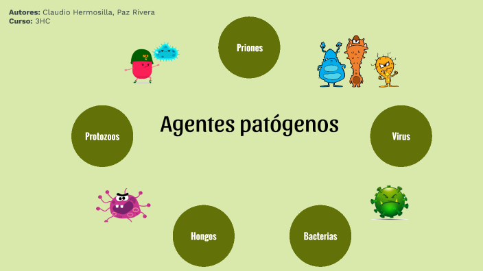 Agentes Patógenos by claudio hermosilla on Prezi