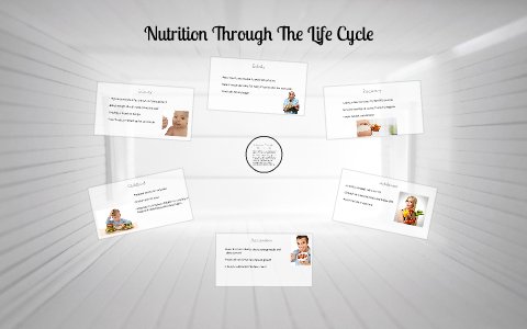 Nutrition Through The Life Cycle by Sara Hansen on Prezi