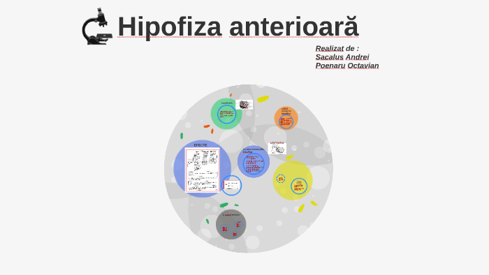 Hipofiza anterioară by Vasilica Danțiș on Prezi