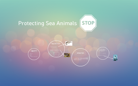 Protecting Sea Animals by Sera Baek on Prezi
