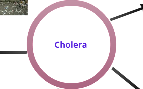 Biology Unit I.S.P. - Cholera by cece ed on Prezi