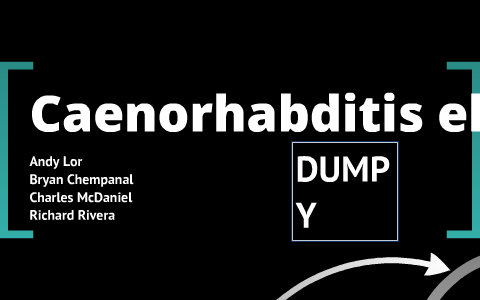 C. elegans Dumpy Mutation by Charles McDaniel on Prezi