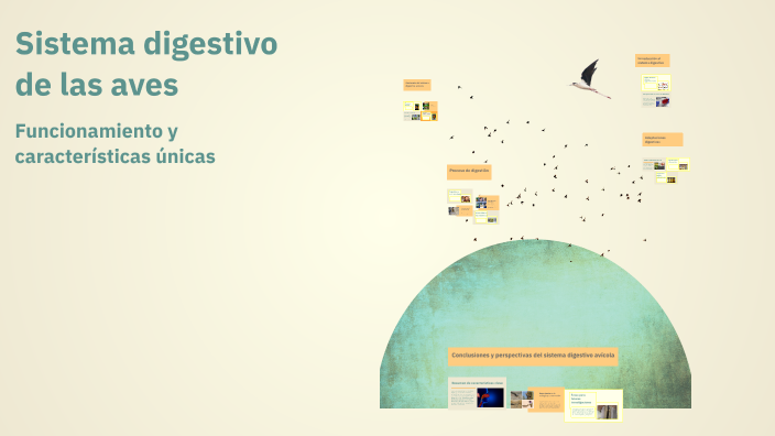 Sistema digestivo de las aves by vilma Alvarez Sondor on Prezi