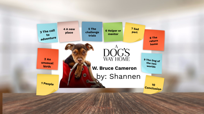A Dog's Way Home by Shannen Runzel on Prezi