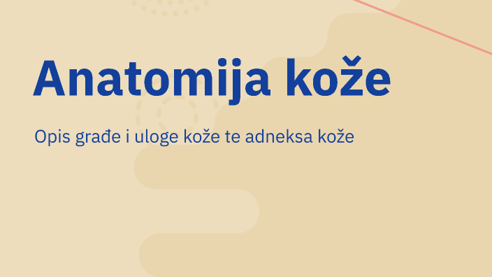 Anatomija kože by Petra Šimunić on Prezi