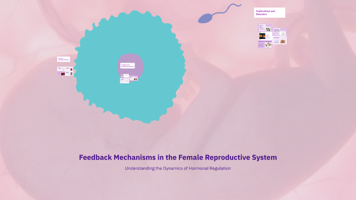 Feedback Mechanisms in the Female Reproductive System by Leny Ladera on ...