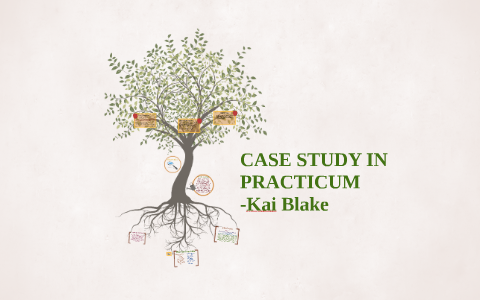 CASE STUDY IN PRACTICUM by kai blake
