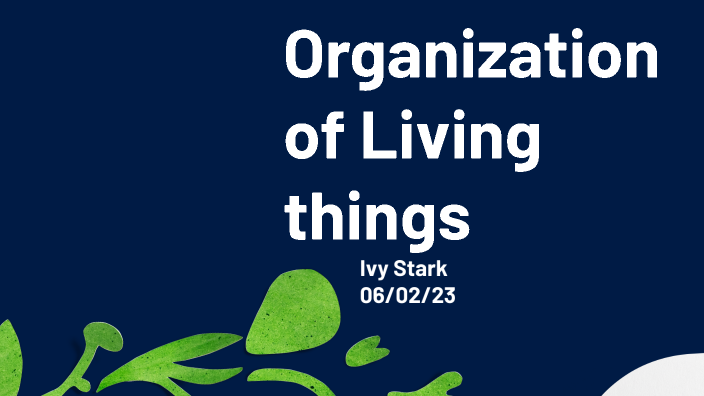 Organization presentation by Ivy Stark on Prezi
