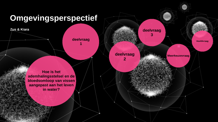 biologie perspectief by Kiara Kennis on Prezi