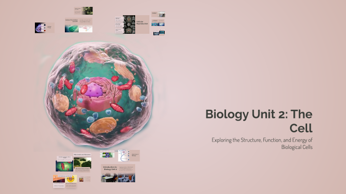 Biology Unit 2: The Cell by Robin Reva on Prezi