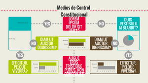 Medios de Control Constitucional by on Prezi Design