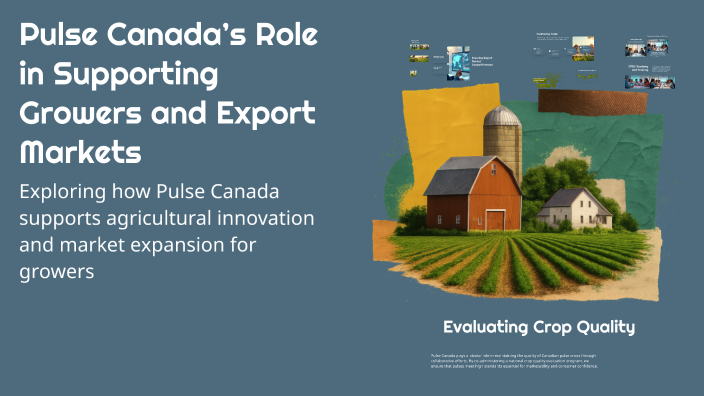 Pulse Canada’s Role in Supporting Growers and Export Markets by Janelle ...