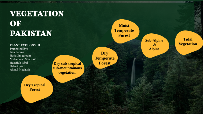 Vegetation of Pakistan by Hifza hashmi on Prezi