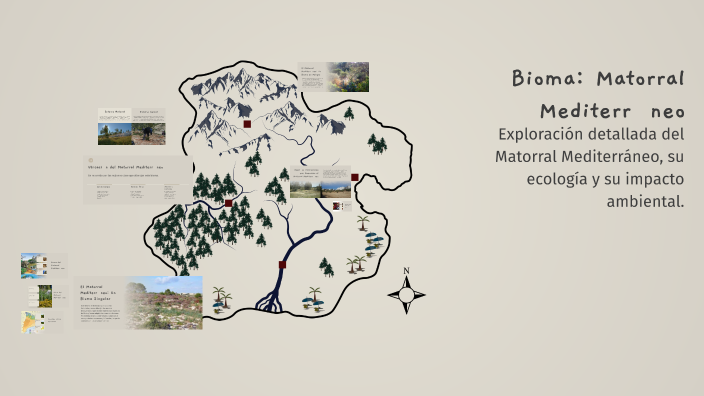 Bioma: Matorral Mediterráneo by Alejandra Martínez Machado on Prezi