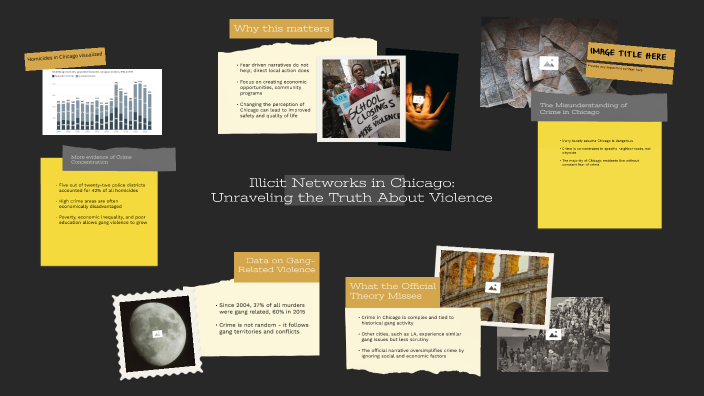 Illicit Networks in Chicago: Unraveling the Truth About Violence by ...