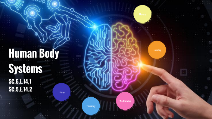 Life Science - Human Body Systems by Laurajeanne Harvey on Prezi