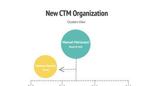 CTM structure by mariana sturmer on Prezi Design