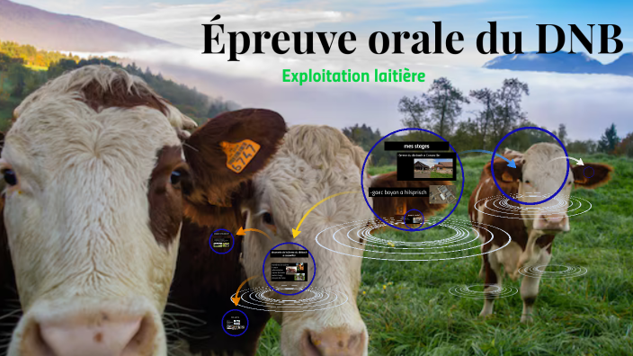 epreuve orale du DNB ouvrier agricole en exploitation laitiere by yanis ...