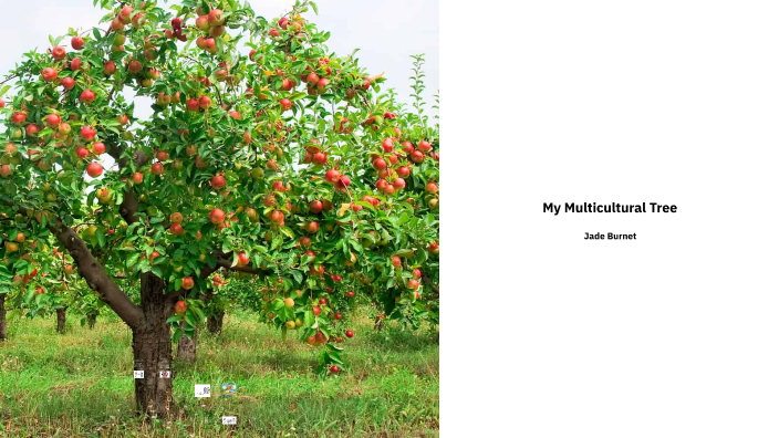 Multicultural Tree Worksheet by Jade Burnett on Prezi