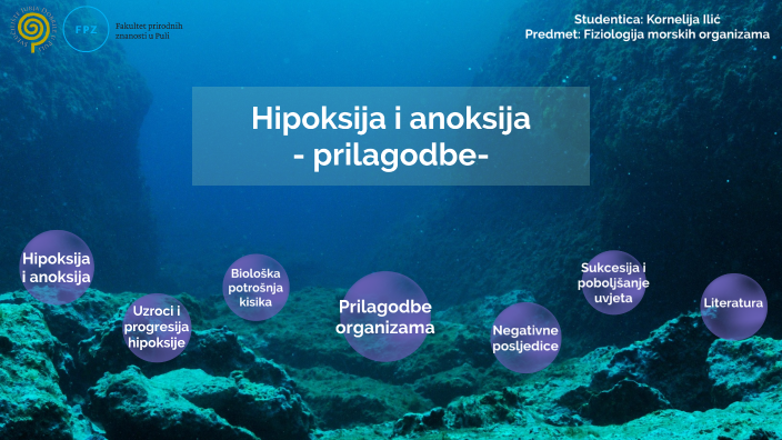 Hipoksija i anoksija by Kornelija Ilić on Prezi
