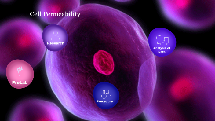 Cell Permeability by peter duffy on Prezi