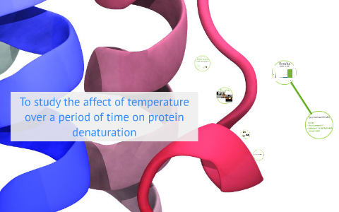 Do proteins denature at the same temperature and time? by MishKyle ...