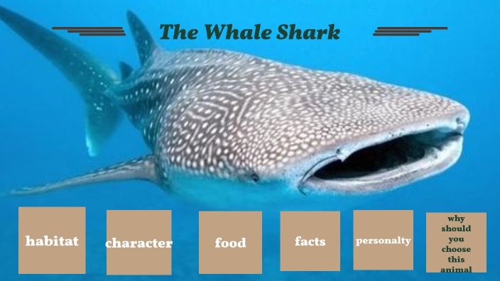 endangered animal by Mehak Gardezi on Prezi