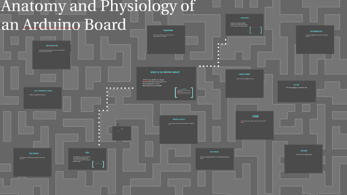 Anatomy and Physiology of Arduino by Shannon Leathers on Prezi