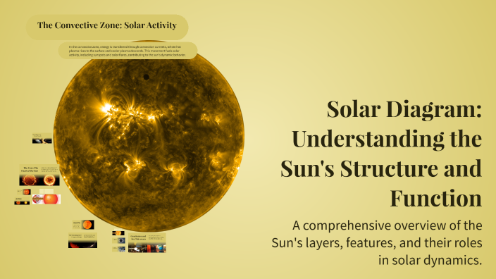 Solar Diagram: Understanding the Sun's Structure and Function by ...
