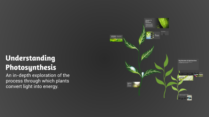 Understanding Photosynthesis by comingsoon Proof on Prezi