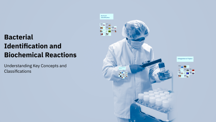 Bacterial Identification and Biochemical Reactions by Vergil [The Art ...